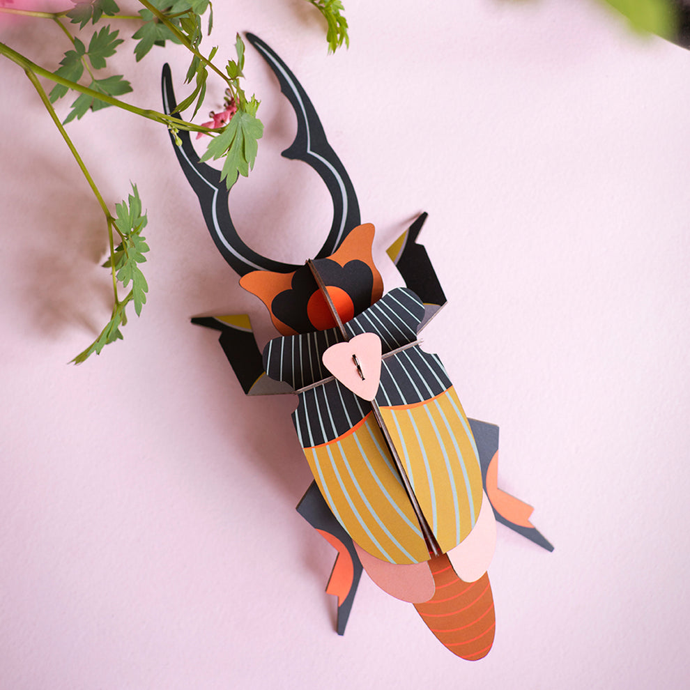 Wall Art Beetles (A4) Stag Beetle | Studio Roof | UNTIL – UNTIL Window AU
