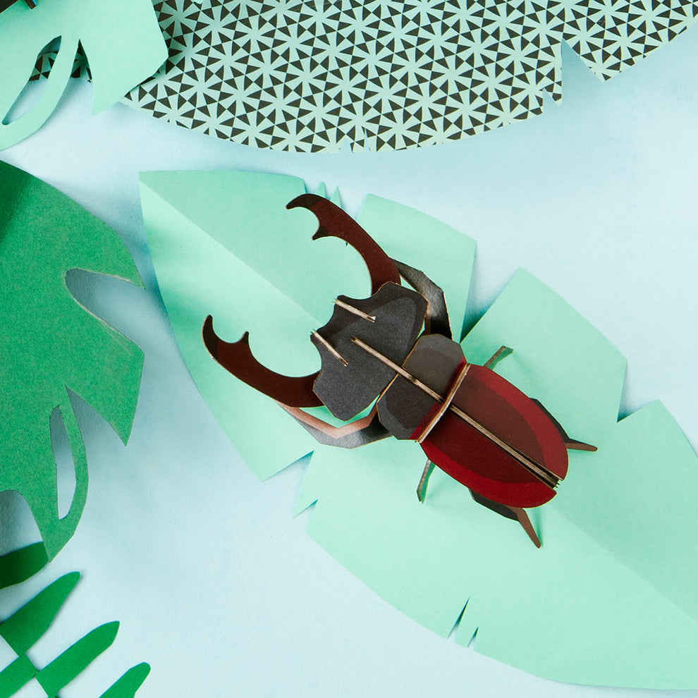 Wall Art Beetles (B7) Stag Beetle | Studio Roof | UNTIL – UNTIL Window AU